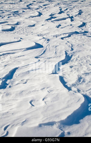 Snow texture. Windy surface of snowdrift. Snowy field. Winter weather ...