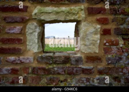 Loopholes made by British soldiers in the garden wall of Hougoumont ...