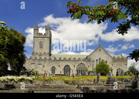 St. Mary's Cathedral, Limerick Cathedral Stock Photo - Alamy