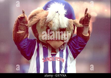 Sheffield Wednesday mascot Ozzie Owl Stock Photo - Alamy