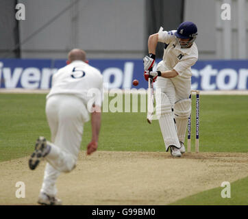 Sussex's Jason Lewry Stock Photo - Alamy