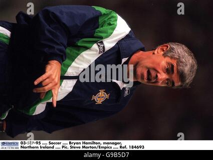 03-SEP-95 .... Soccer .... Bryan Hamilton, Manager, Northern Ireland ...