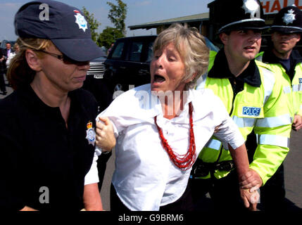 Police arrest veteran peace campaigner Lindis Percy after she shouted ...