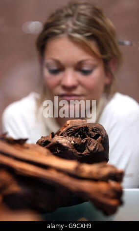 History Exhibition Ireland - Bog bodies exhibition Stock Photo - Alamy
