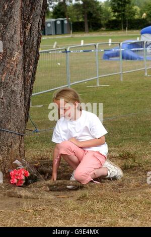 Inflatable accident aftermath Stock Photo - Alamy