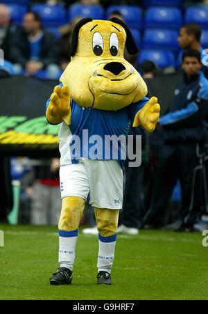 Beau Brummie, Birmingham City mascot Stock Photo - Alamy
