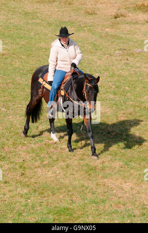 Woman riding american quarter stallion, stallion, western riding with ...