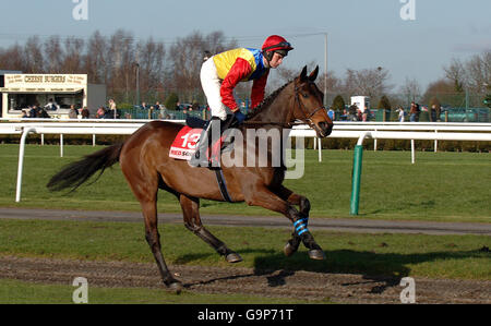GVA Ireland and jockey Niall Madden during the Red Square Vodka Gold ...