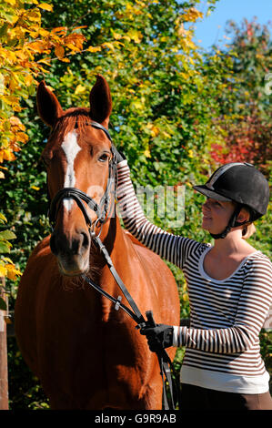 Girl with German Warmblood / sorrell, bridle, riding helmet Stock Photo ...