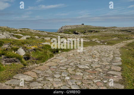 Coast of Tory Island, County Donegal, Ireland Stock Photo - Alamy