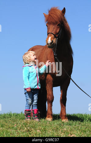 girl and Icelandic horse Stock Photo - Alamy