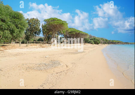 Mugoni beach shoreline under a cloudy sky Stock Photo - Alamy