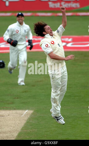 England's Ryan Sidebottom celebrates taking the wicket of New Zealand's ...