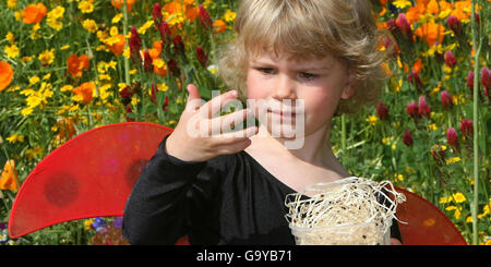 Holly Hobcraft, five, releases 500 ladybirds in the Fetzer Sustainable ...