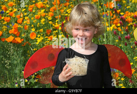 Holly Hobcraft, five, releases 500 ladybirds in the Fetzer Sustainable ...