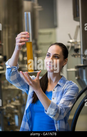 attentive female brewer testing beer at brewery Stock Photo - Alamy