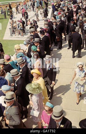 Horse race racing crowd scene Stock Photo - Alamy