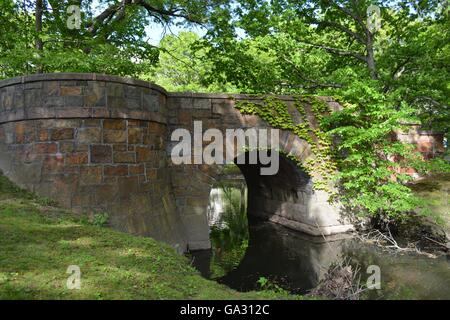 A bridge atop the Muddy River in Riverway Park in between Boston and ...