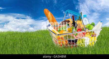 A shopping basket filled with groceries Stock Photo - Alamy