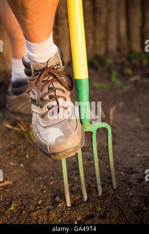 Low section of gardener stepping on fork at farm Stock Photo - Alamy