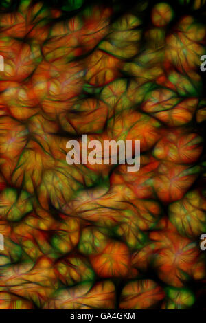 Fractal background. Abstract design pattern. Multicolored mixed ...