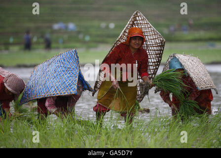 Lalitpur, Nepal. 3rd July, 2016. Nepalese farmers wearing a traditional ...
