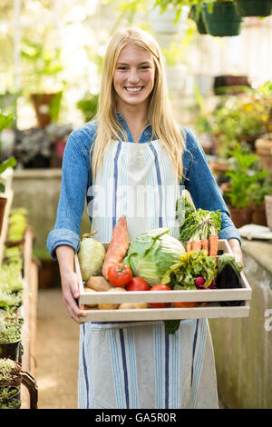 young female gardener in apron carrying tray with green succulent ...