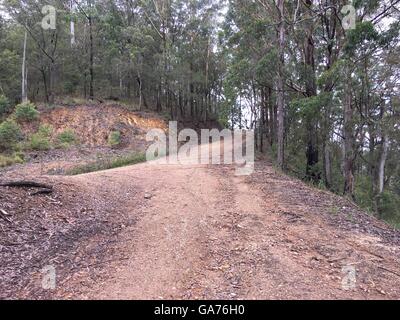 Bush Driving Track Stock Photo - Alamy