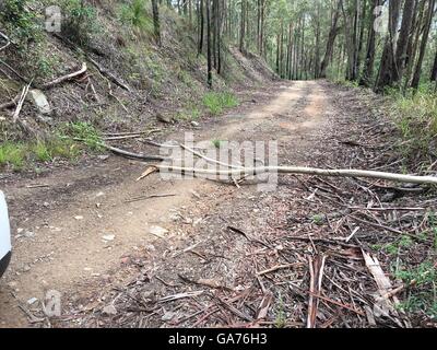 Bush Driving Track Stock Photo - Alamy