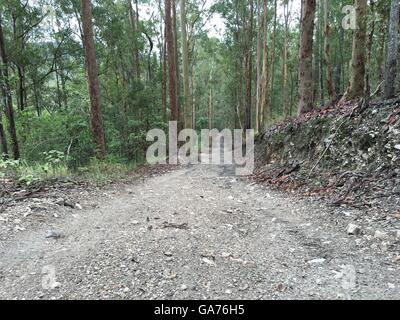 Bush Driving Track Stock Photo - Alamy