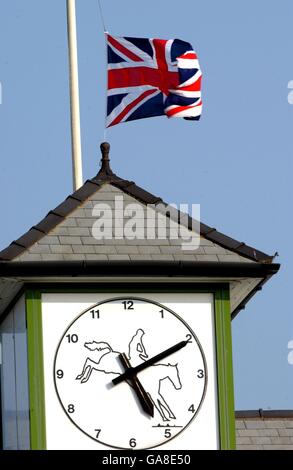 Martell Grand National/ Flag Stock Photo - Alamy