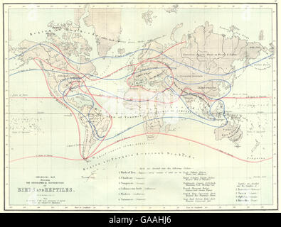 WORLD. Zoological map; Bird & Reptile distribution, 1886 Stock Photo ...