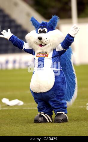 Nutz Mascot, Kilmarnock Stock Photo - Alamy