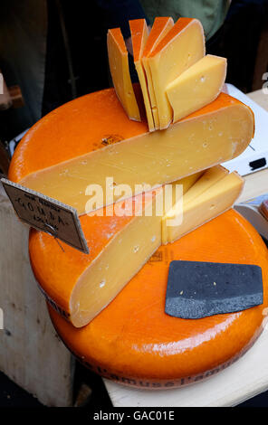 Wedge of Gouda cheese and slices on jade wire cheese slicer on white ...