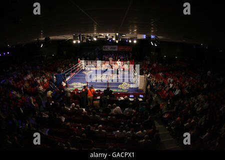 Boxing - National Arena - Dublin Stock Photo - Alamy