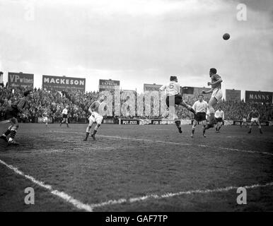 (L-R) Fulham goalkeeper Tony Macedo and Leicester City's Ken Leek watch ...