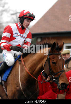 Horse Racing - Hennessy Winter Festival Sunday - Newbury Racecourse ...