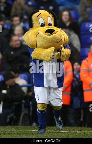 Beau Brummie, Birmingham City mascot Stock Photo - Alamy