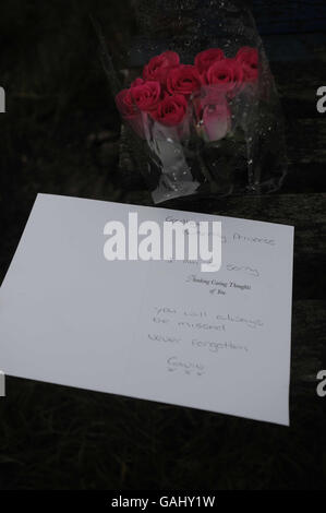 A tribute left on the common at Cefn Cribwr, to dead girl Jenna Parry ...