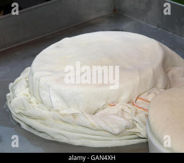 genuine fresh cheese just made in the modern dairy Stock Photo - Alamy
