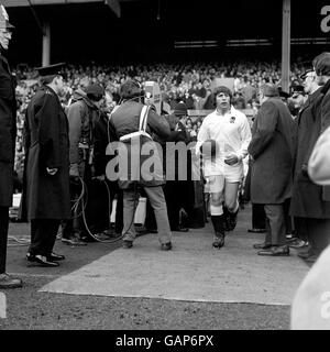 England captain John Pullin leads his team out Stock Photo - Alamy