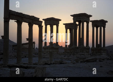 the Roman Ruins of Palmyra in Palmyra in the east of Syria Stock Photo ...