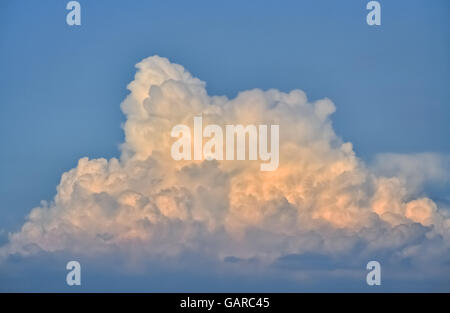 Sunset on a blue and yellow cloudscape sky with winter tree branches ...