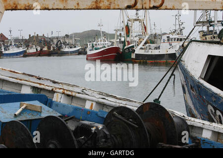 Thousands of fishing boats stay in the port to escape the stormy ...
