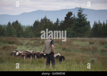 James Rebanks, author of best selling book 'The Shepherd's Life' on the ...