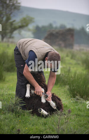 James Rebanks, author of best selling book 'The Shepherd's Life' on the ...
