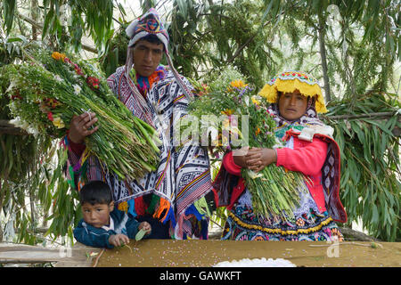 Traditional Quechua Wedding Ceremony. Indigenous woman putting confetti ...