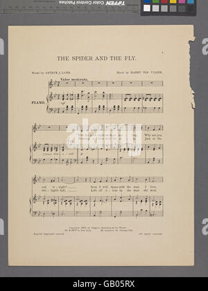 'The Spider and the Fly' is a traditional fable that teaches lessons ...