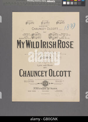 'My Wild Irish Rose' is a famous song popularized in the early 20th ...