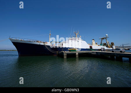 Bacalhoeiro, a type of portuguese fishing boat used to catch cod fish ...